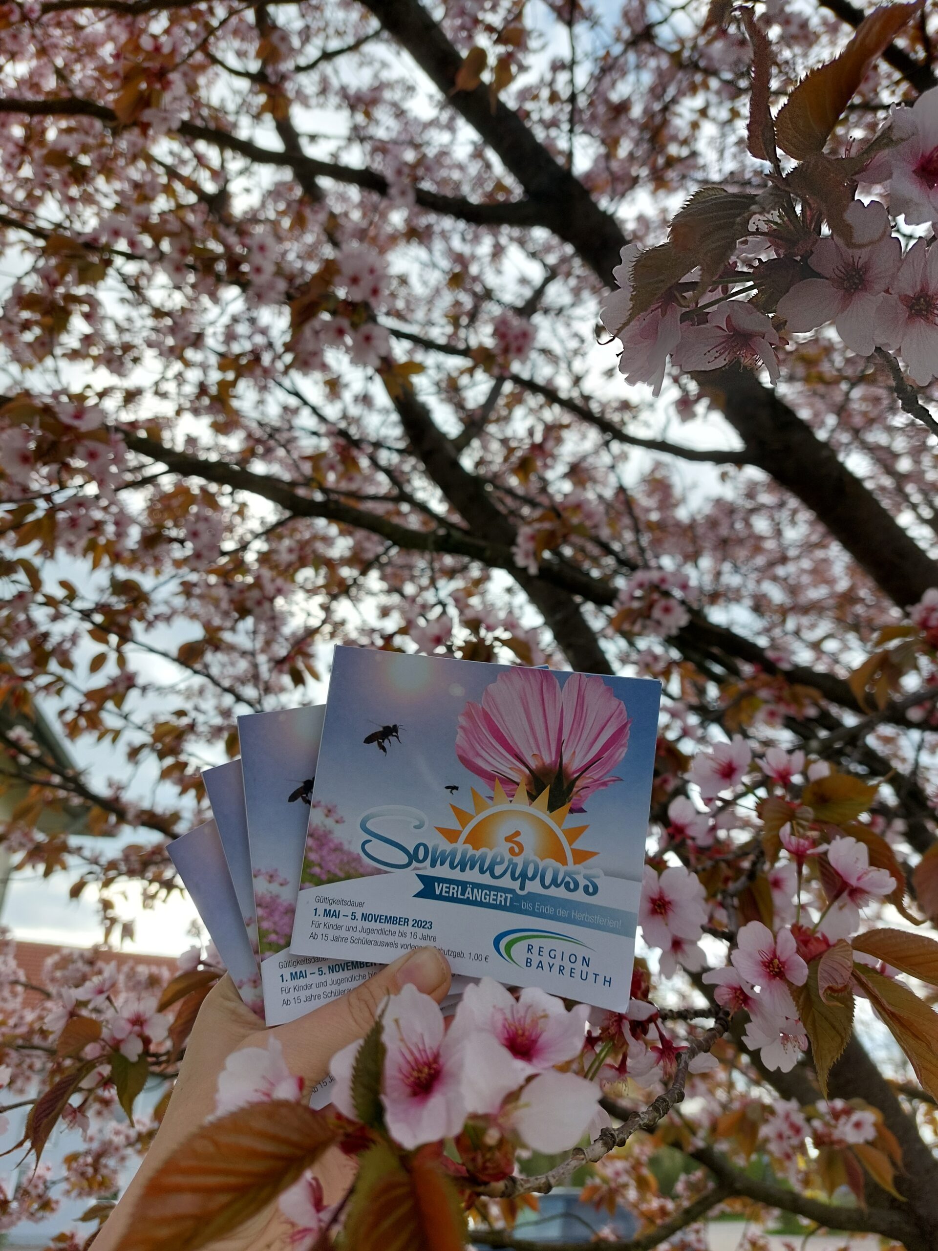 Der Sommer(s)pass ist da! - Speichersdorf Der Sommer(s)pass ist da! - Speichersdorf